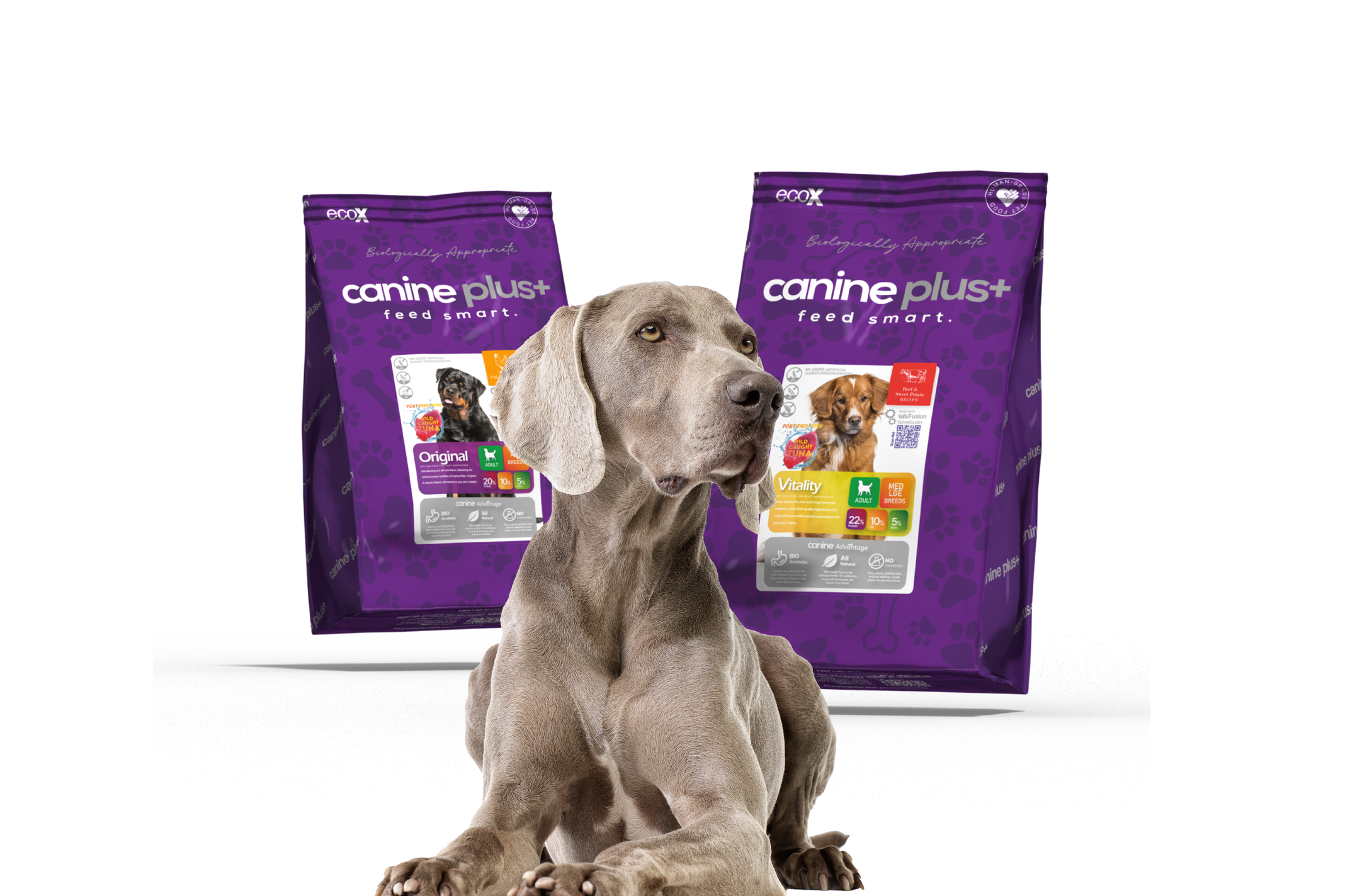 Canine Plus+®